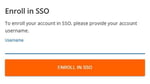 Logging in Using SSO for the ALICE Portal